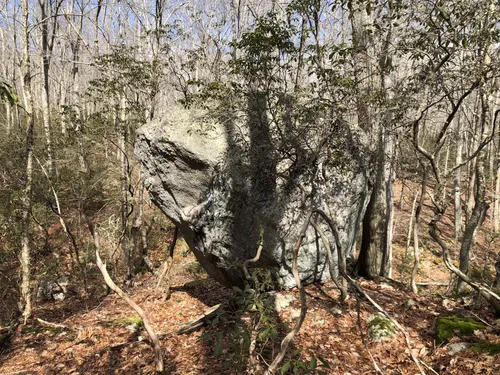 Best Hikes and Trails in Upper Three Mile River Preserve | AllTrails