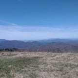 Max Patch Loop, North Carolina - 2,171 Reviews, Map | AllTrails