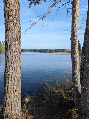 Best Hikes and Trails in Lake Wilson | AllTrails