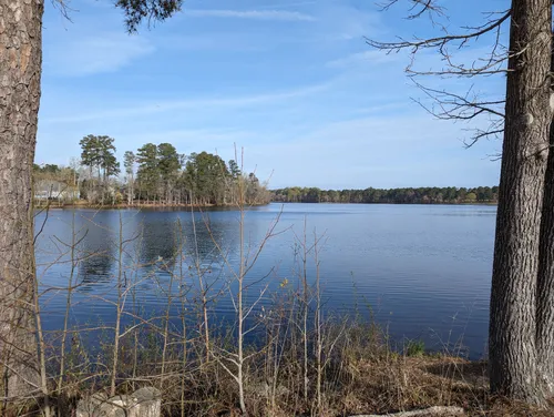 Best Hikes and Trails in Lake Wilson | AllTrails