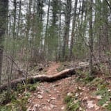 Carbuncle Pond and Moosup River Trail, Rhode Island - 261 Reviews, Map ...