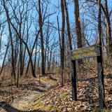 Low Gap Trail , Indiana - 1,267 Reviews, Map | AllTrails