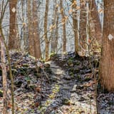 Low Gap Trail , Indiana - 1,267 Reviews, Map | AllTrails
