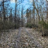 Low Gap Trail , Indiana - 1,267 Reviews, Map | AllTrails
