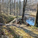 Low Gap Trail , Indiana - 1,267 Reviews, Map | AllTrails