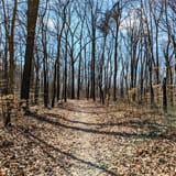 Low Gap Trail , Indiana - 1,267 Reviews, Map | AllTrails
