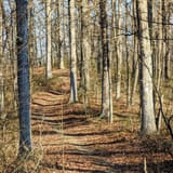 Low Gap Trail , Indiana - 1,267 Reviews, Map | AllTrails