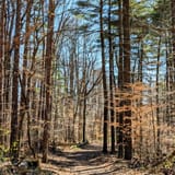 Low Gap Trail , Indiana - 1,267 Reviews, Map | AllTrails