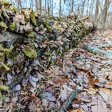 Low Gap Trail , Indiana - 1,267 Reviews, Map | AllTrails