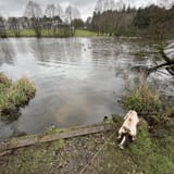 Redesmere and Capesthorne Circular, Cheshire, England - 106 Reviews ...