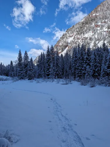 Best Hot Springs Trails in Aspen | AllTrails