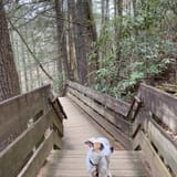 Dukes Creek Trail, Georgia - 3,110 Reviews, Map | AllTrails
