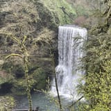 South Falls and Maple Ridge Loop, Oregon - 1,878 Reviews, Map | AllTrails