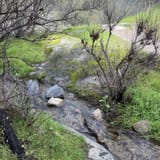 Pa'san Ridge Trail, California - 1,002 Reviews, Map | AllTrails