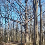 Plateau Trail, Ohio - 3,275 Reviews, Map | AllTrails