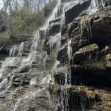 Yellow Branch Falls Trail, South Carolina - 2,642 Reviews, Map | AllTrails