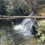 Yellow Branch Falls Trail, South Carolina - 2,642 Reviews, Map | AllTrails