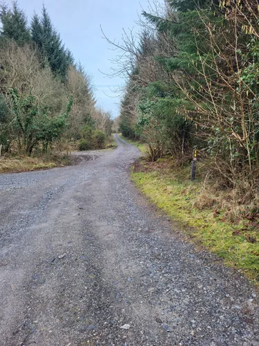 Best Hikes and Trails in Slieve Bloom Mountains Nature Reserve | AllTrails