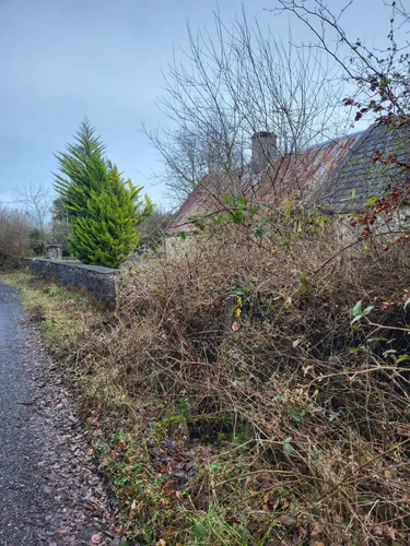 Best Hikes and Trails in Slieve Bloom Mountains Nature Reserve | AllTrails