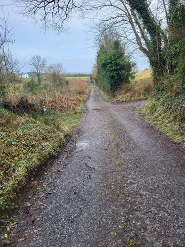 Best Hikes and Trails in Slieve Bloom Mountains Nature Reserve | AllTrails