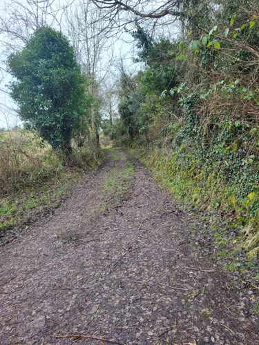 Best Hikes and Trails in Slieve Bloom Mountains Nature Reserve | AllTrails