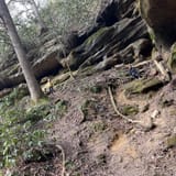 Rock Bridge Trail, Kentucky - 3,274 Reviews, Map | AllTrails