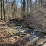 Cascade Falls Loop Trail, Maryland - 2,971 Reviews, Map | AllTrails