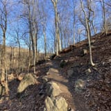 Cascade Falls Loop Trail, Maryland - 2,971 Reviews, Map | AllTrails