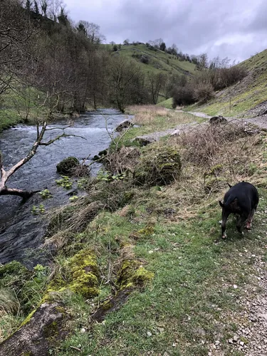 Best Walking Trails in Dovedale National Nature Reserve | AllTrails