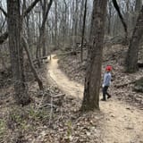 Indian Seats Loop, Georgia - 5,354 Reviews, Map | AllTrails