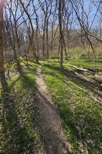 Best Long Trails in Weldon Spring Conservation Area | AllTrails