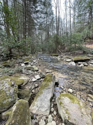 Best Off Road Driving Trails in Prentice Cooper State Forest | AllTrails