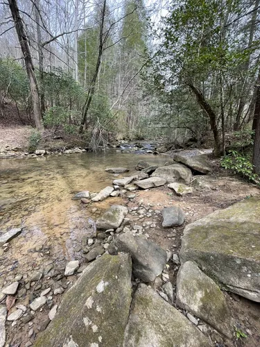 Best Off Road Driving Trails in Prentice Cooper State Forest | AllTrails