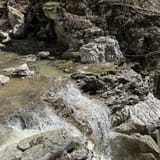 Walls of Jericho Trail, Alabama - 2,324 Reviews, Map | AllTrails