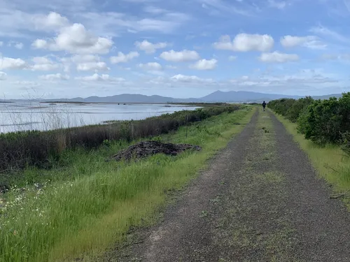 Best Hikes and Trails in San Pablo Bay National Wildlife Refuge | AllTrails