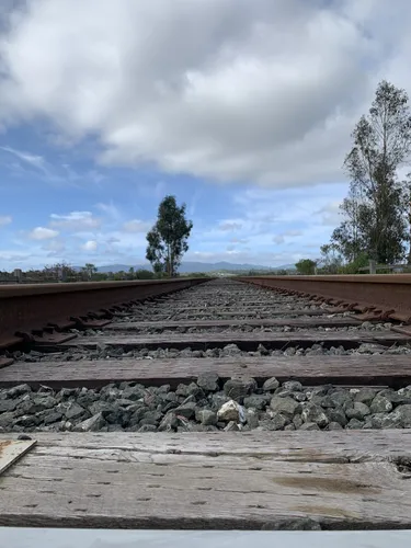 Best Hikes and Trails in San Pablo Bay National Wildlife Refuge | AllTrails