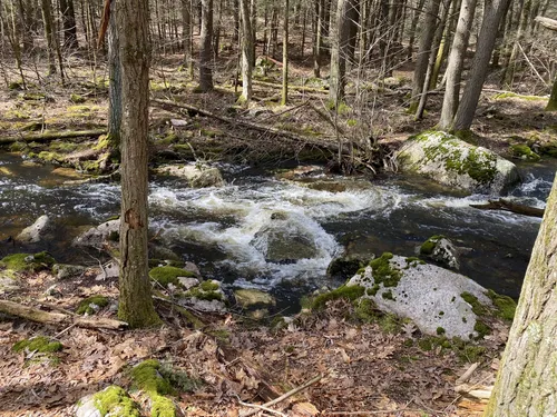 Best Hikes and Trails in Pulaski State Park | AllTrails