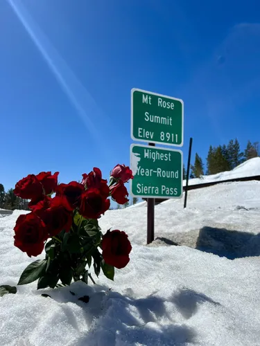 Best Waterfall Trails in Mount Rose Wilderness | AllTrails