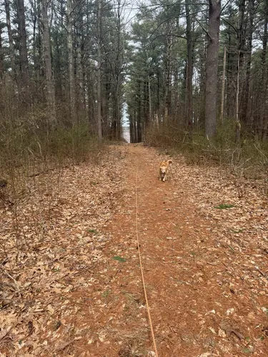 Best Hikes and Trails in Pudding Hill Reservation | AllTrails