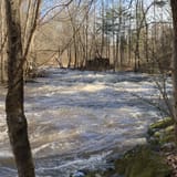 Scantic River Trail, Connecticut - 382 Reviews, Map | AllTrails