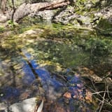 Gorman Falls and Gorman Springs, Texas - 223 Reviews, Map | AllTrails