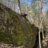 Angel Windows Trail, Kentucky - 1,245 Reviews, Map | AllTrails