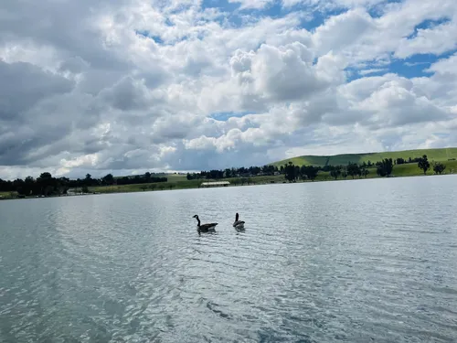 Best Hikes and Trails in Kern County Park | AllTrails