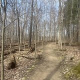 Salt Run, Ohio - 1,174 Reviews, Map | AllTrails