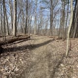 Salt Run, Ohio - 1,174 Reviews, Map | AllTrails