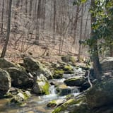 Stiles Falls, Virginia - 541 Reviews, Map | AllTrails