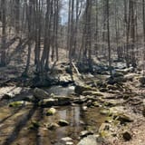 Stiles Falls, Virginia - 541 Reviews, Map | AllTrails