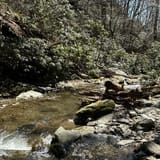 Kelly's Run Loop Trail, Pennsylvania - 3,276 Reviews, Map | AllTrails