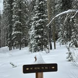 Mount Royal Trail, Colorado - 2,671 Reviews, Map | AllTrails