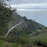 Timber Top and Boronda Trail, California - 750 Reviews, Map | AllTrails
